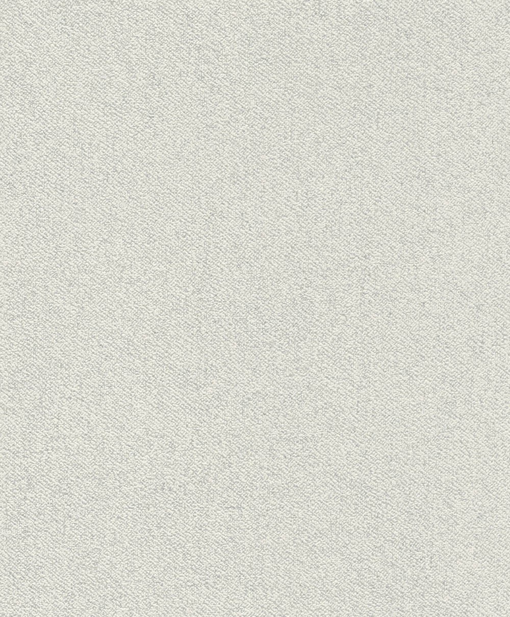 feine Putzstruktur grau Vliestapete Rasch Tapetenwechsel 2 507065